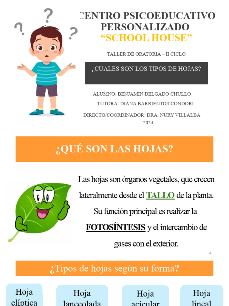 Tipos de Hoja - Benjamin Delgado Chullo Ii Ciclo | PDF