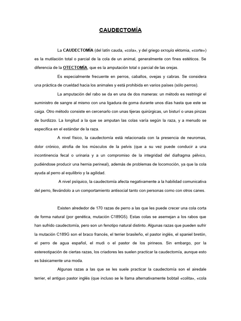 Caudectomía: Mutilación y Consecuencias | PDF | Perros | Bienestar de ...