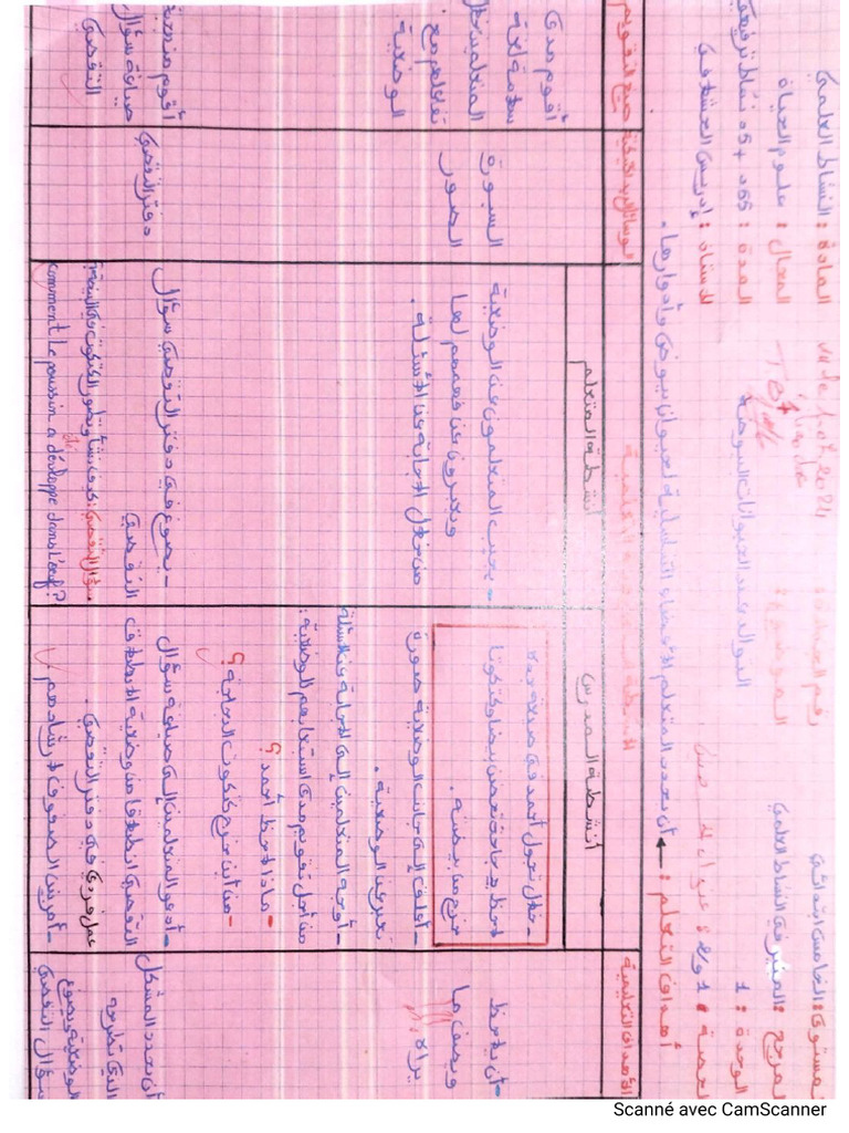 Fiche Pédagogique Ex - Copie | PDF