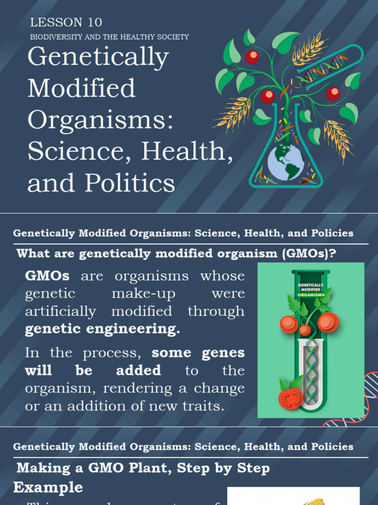 Lesson 10 Genetically Modified Organisms | Download Free PDF | Genetically Modified Organism ...