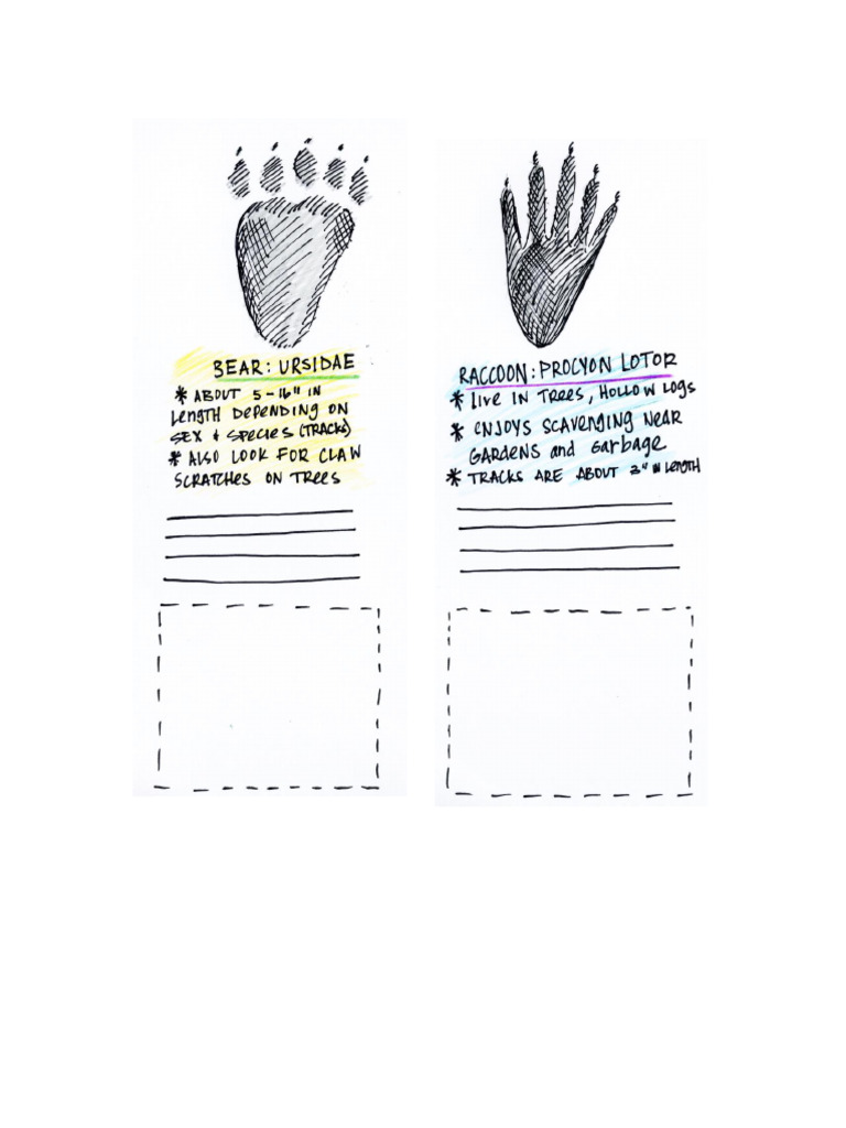 Animal Track Cards | PDF