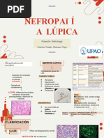 Prospecto-INMUFLU TBS - JAB | PDF | Sistema inmune | Linfocitos