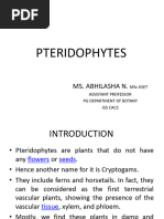 Elaters Columella Peristome Calyptra | PDF | Moss | Plants