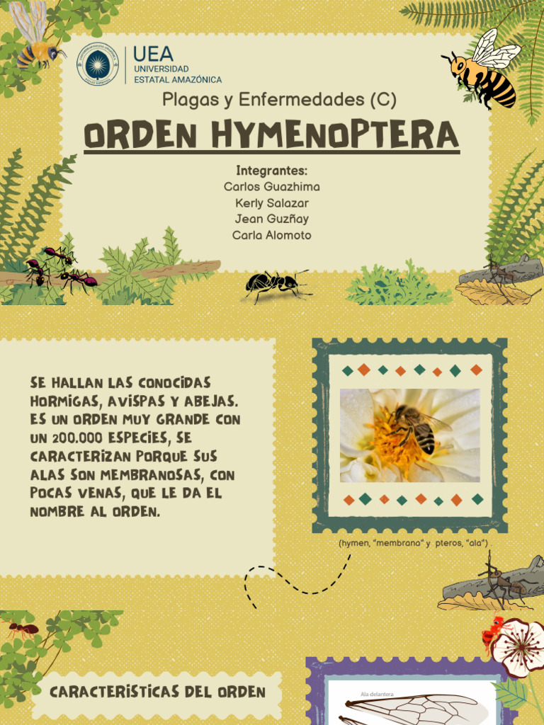 Orden Hymenoptera | PDF | Hormiga | Agricultura