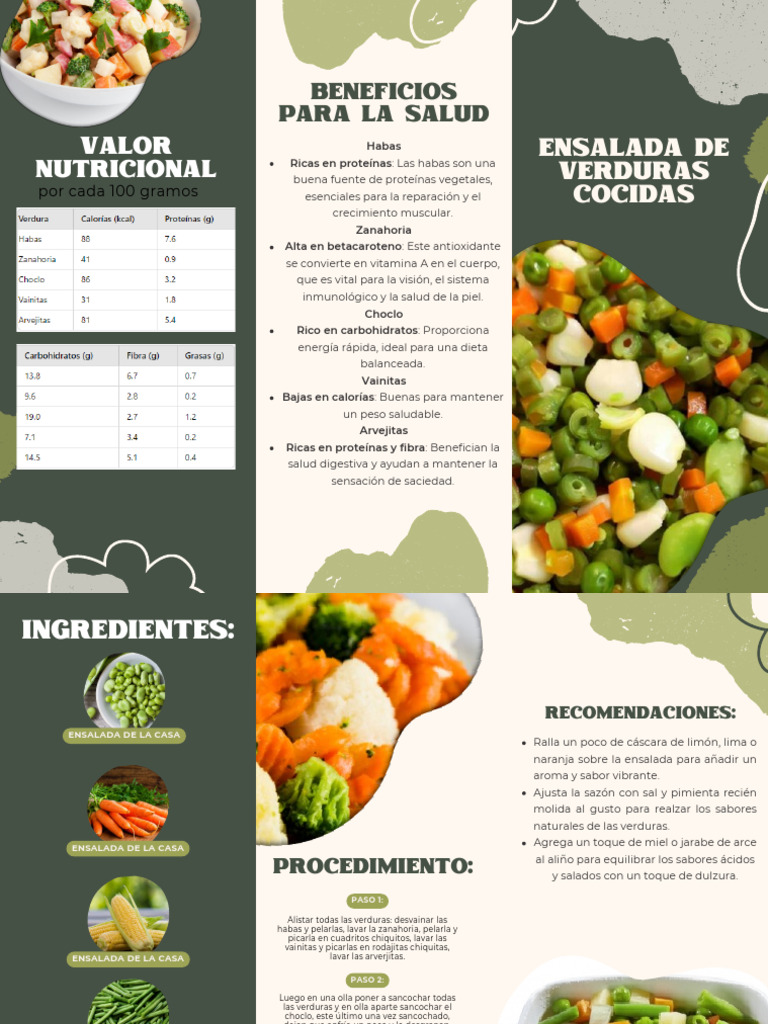 Triptico Ensala de verduras cocidas | Descargar gratis PDF | ensalada ...