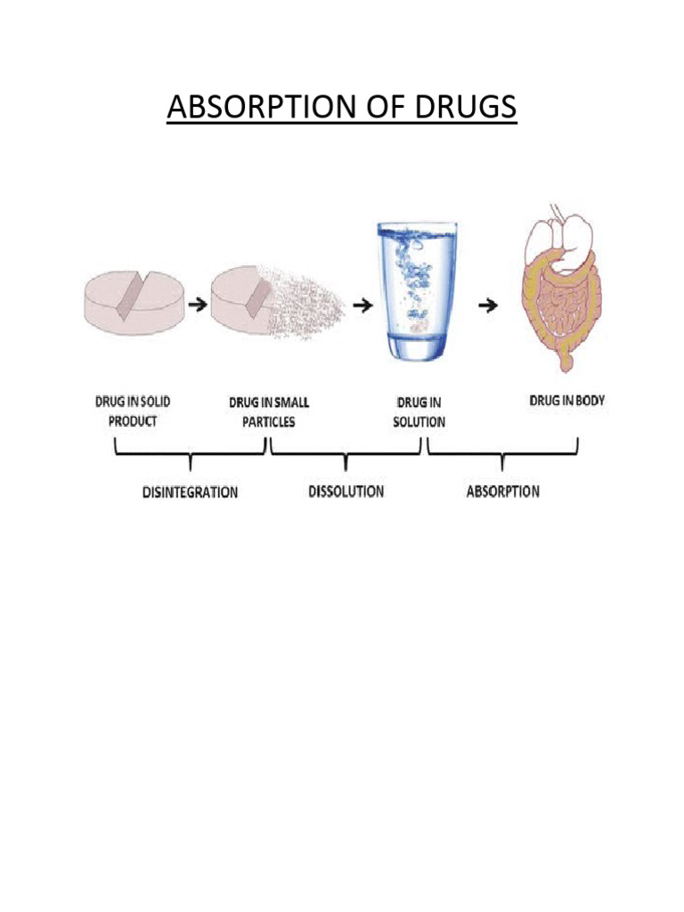 Absorption of Drugs Part 1 | PDF | Tablet (Pharmacy) | Gastrointestinal ...