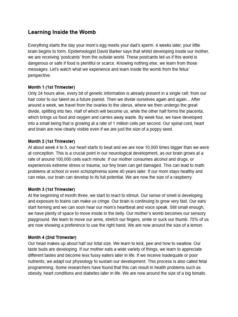 Learning Inside the Womb | PDF | Pregnancy | Brain