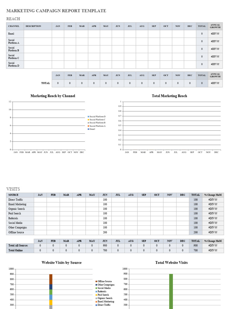 IC Marketing Campaign Report 10764 | PDF | Marketing | World Wide Web