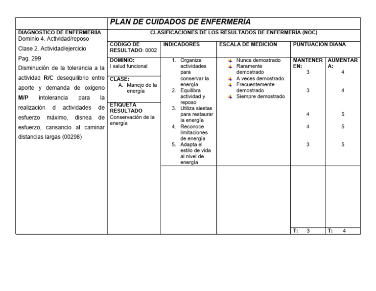 Plan de Cuidados de Enfermería 2 | PDF