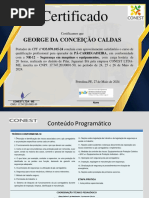 Modelo CERTIFICADO NR 11 | PDF