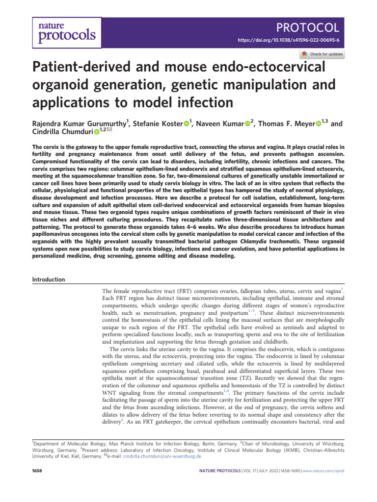 Patient-Derived and Mouse Endo-Ectocervical Organoid Generation ...