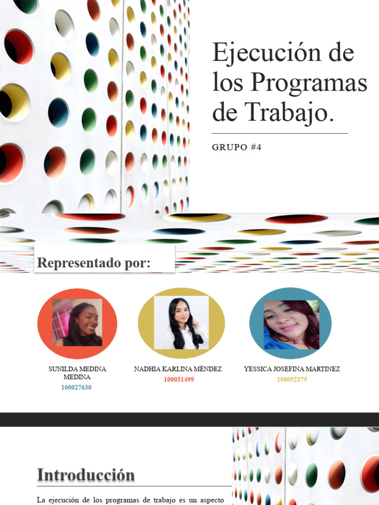 Ejecución de Los Programas de Trabajo | PDF | Planificación | Software