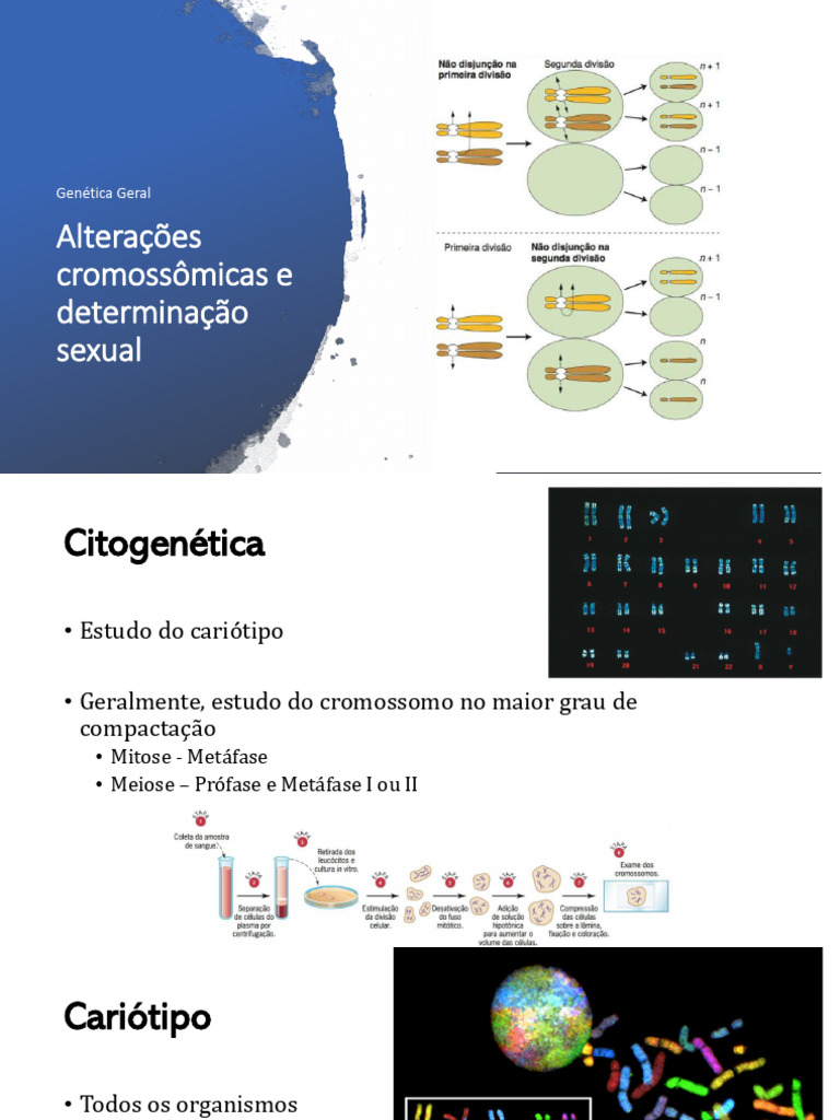 8 Alterações Cromossomicas E Determinação Sexual Pdf Sexo Ploidia