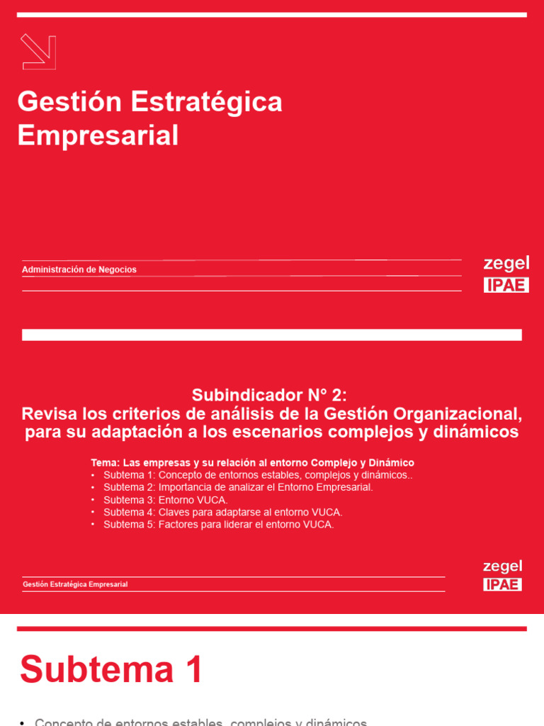 Il 1 - Tema 2 | PDF | Gestión estratégica | Business