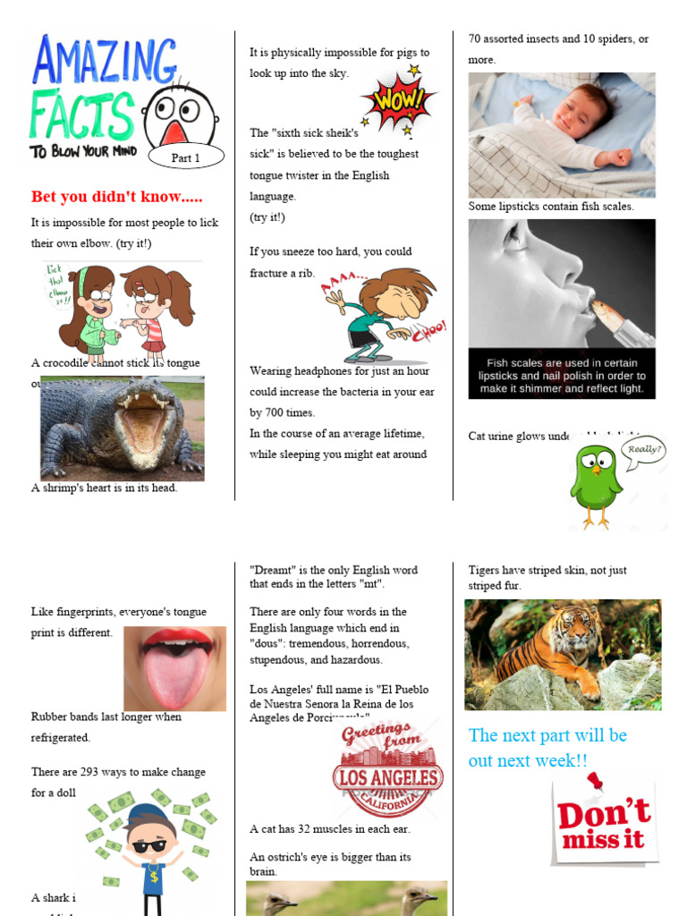 Pamphlet Grade 5-6 (Amazing Facts pt.1) | PDF | Zoology