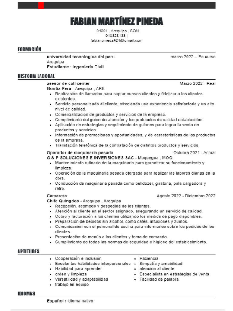 Cv - Fabian Martinez | PDF