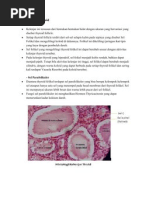 Nota Ringkas Morfologi SPM | PDF