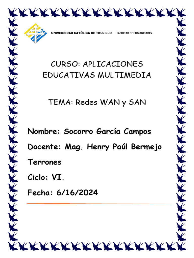 Redes WAN y SAN | PDF | Red de área amplia | Informática