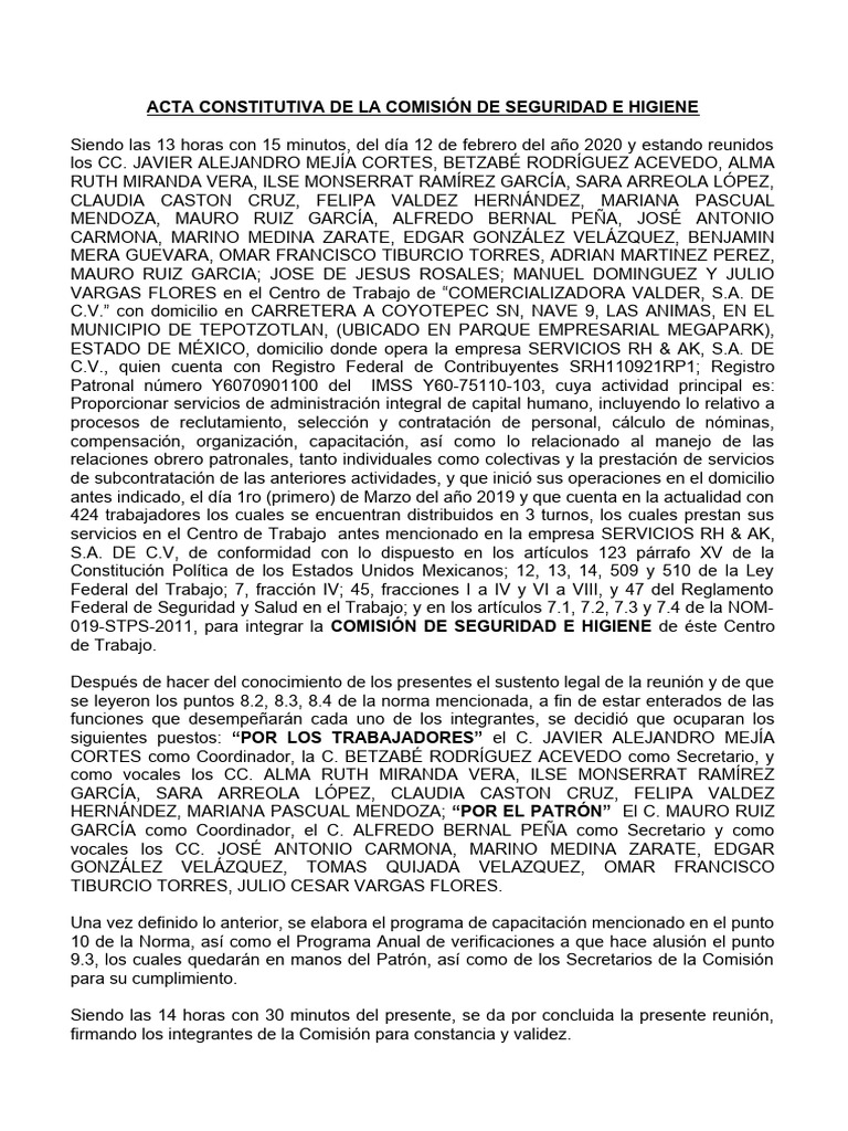 ACTA CONSTITUTIVA DE LA COMISION MIXTA DE SEGURIDAD E HIGIENE Rev 3 (Reparado) | PDF