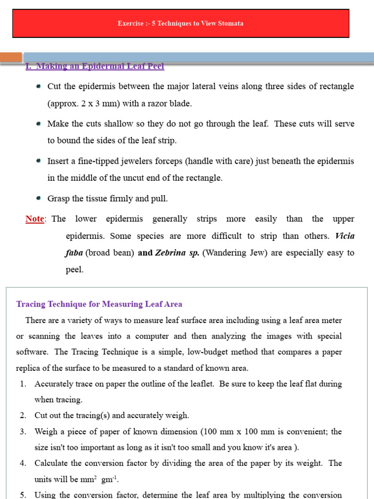 Prac 5 | PDF | Teaching Methods & Materials | Home & Garden
