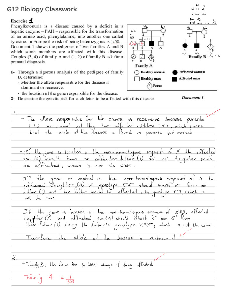 Homework 16:05:2024 | PDF
