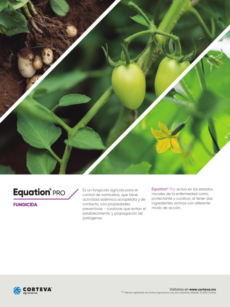 Folleto Equation Pro | PDF