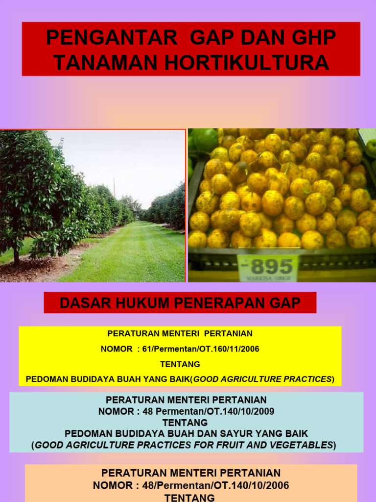 Pengantar GAP Dan GHP | PDF