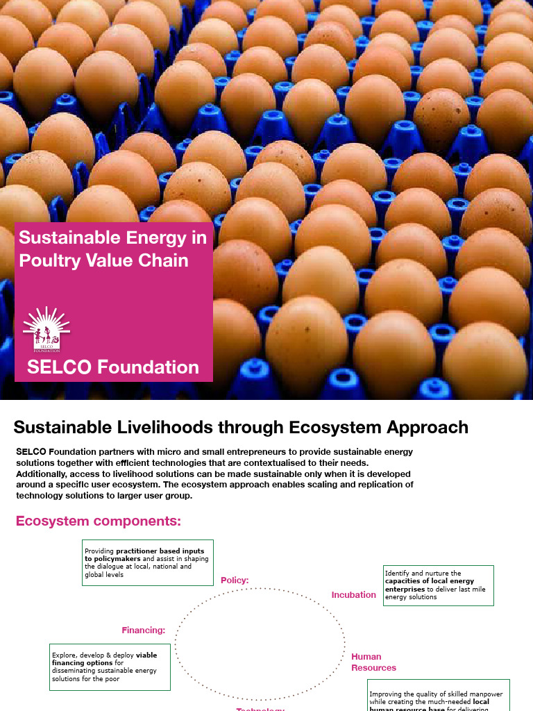 SF Sustainable Energy in Poultry Value Chain | PDF | Chicken | Poultry