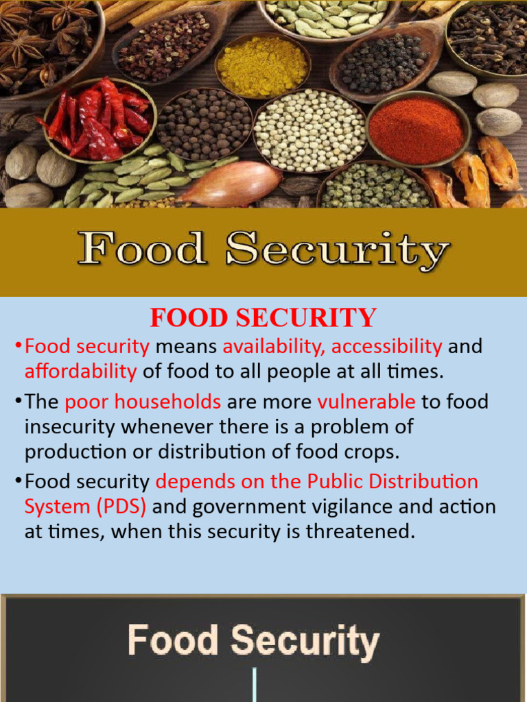 Food Security Overview in India | PDF | Food Security | Economies