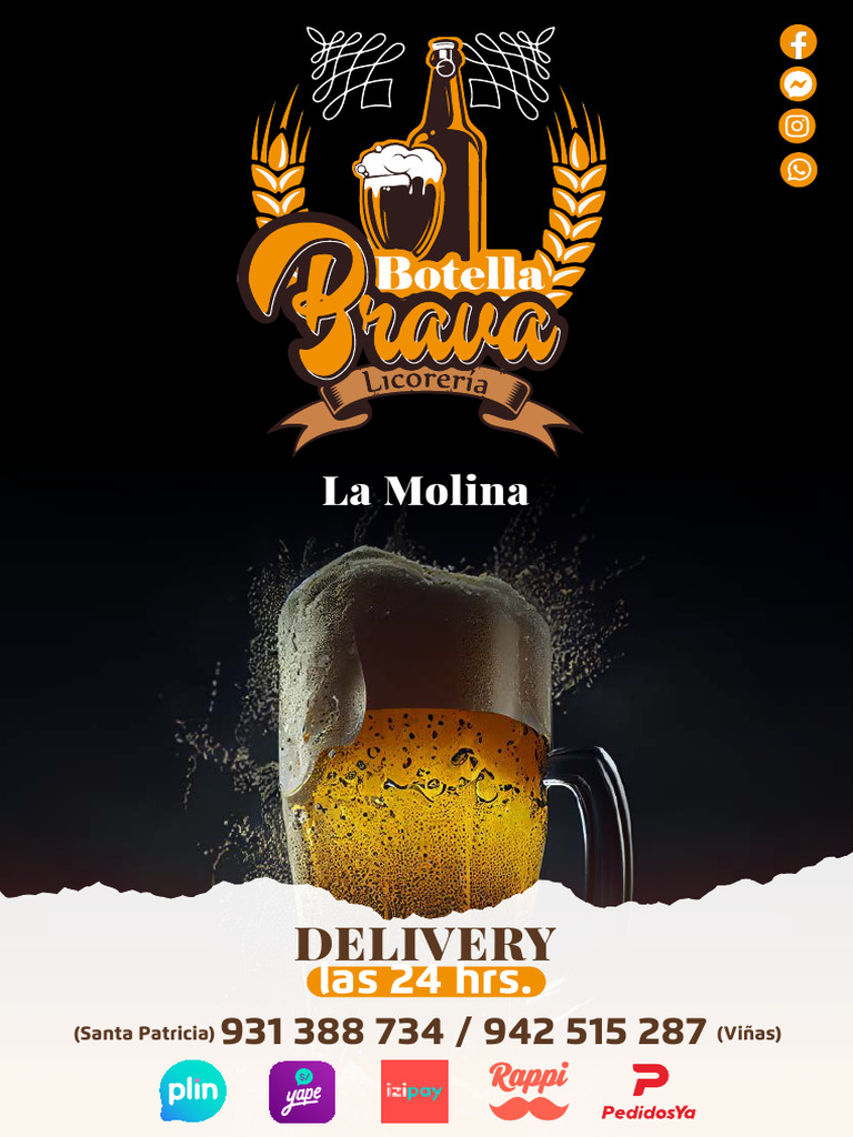 Catálogo Licorería Botella Brava OK | PDF | Distilled Drinks