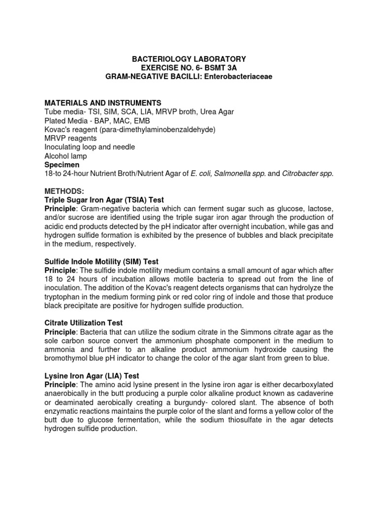 Exercise No. 6 - Gram - Negative Bacilli-Enterobacteriaceae | PDF ... Exercise No. 6 - Gram - Negative Bacilli-Enterobacteriaceae | PDF ...
