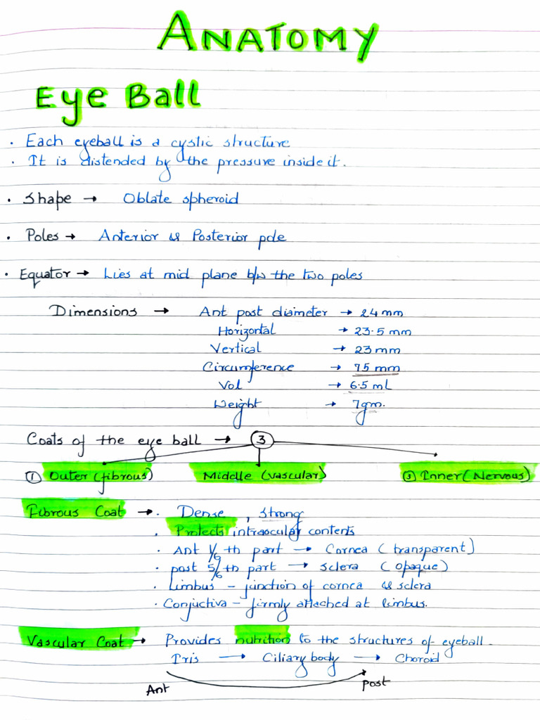 DR Sushma (Eye Anatomy) | PDF | Human Eye | Vision