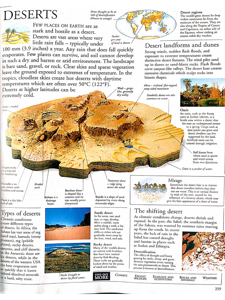 Deserts | PDF