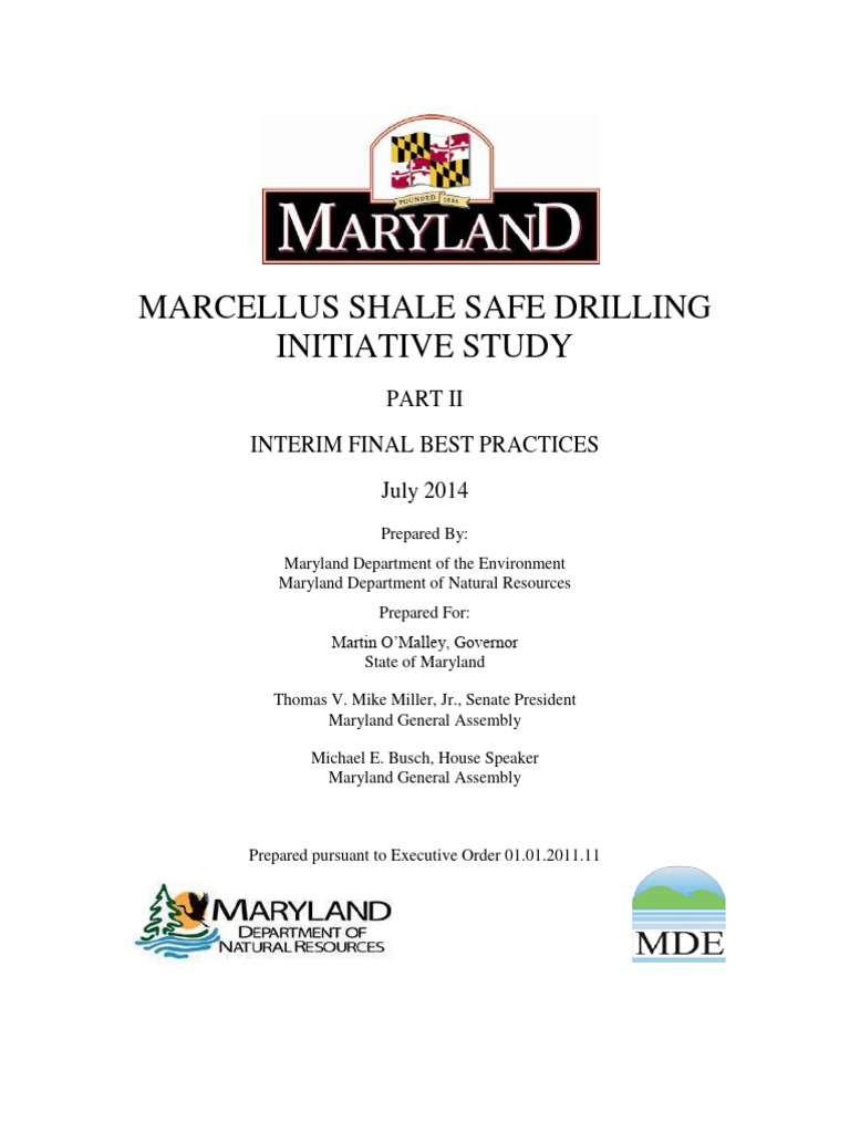 7.10 Version Final BP Report | PDF | Natural Gas | Environmental Impact ...