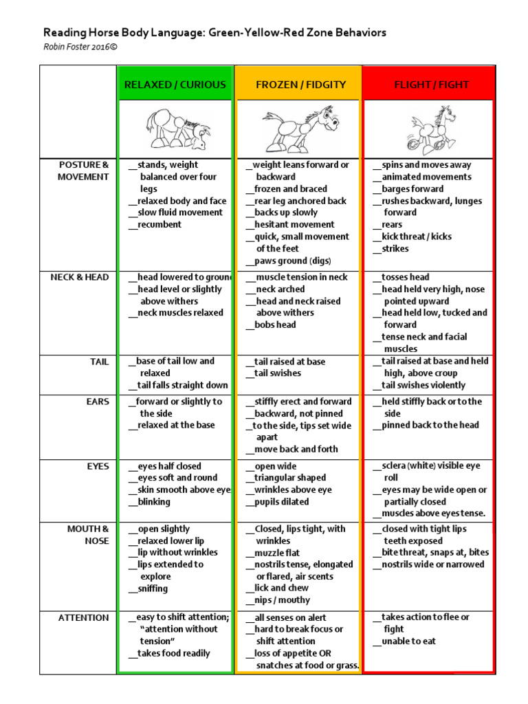 Horse Body Language Handout Checklist FOSTER | PDF | Lip | Zoology