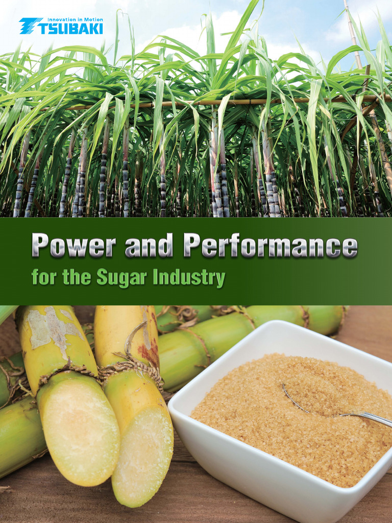 App Sugar Industry | PDF | Heat Treating | Sugarcane