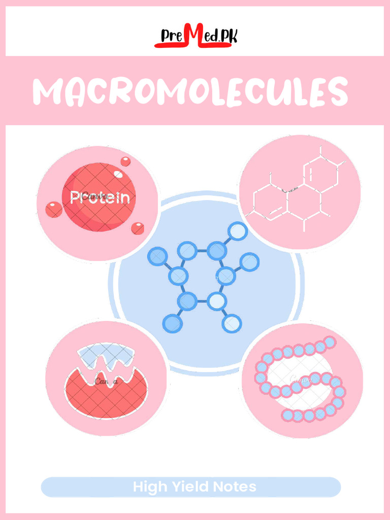 Notes - Macromolecules (PreMed - PK) | PDF | Carbohydrates | Triglyceride