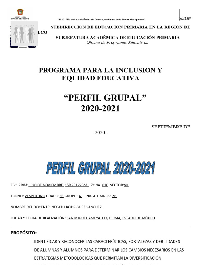 PERFIL GRUPAL 2020-2021 VRP 2 (Autoguardado) | PDF | Inteligencia ...