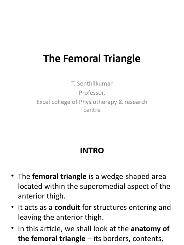 Femoral Triangle | Download Free PDF | Human Leg | Human Anatomy