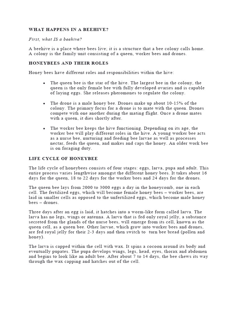 Inside a Beehive: Roles & Life Cycle | PDF