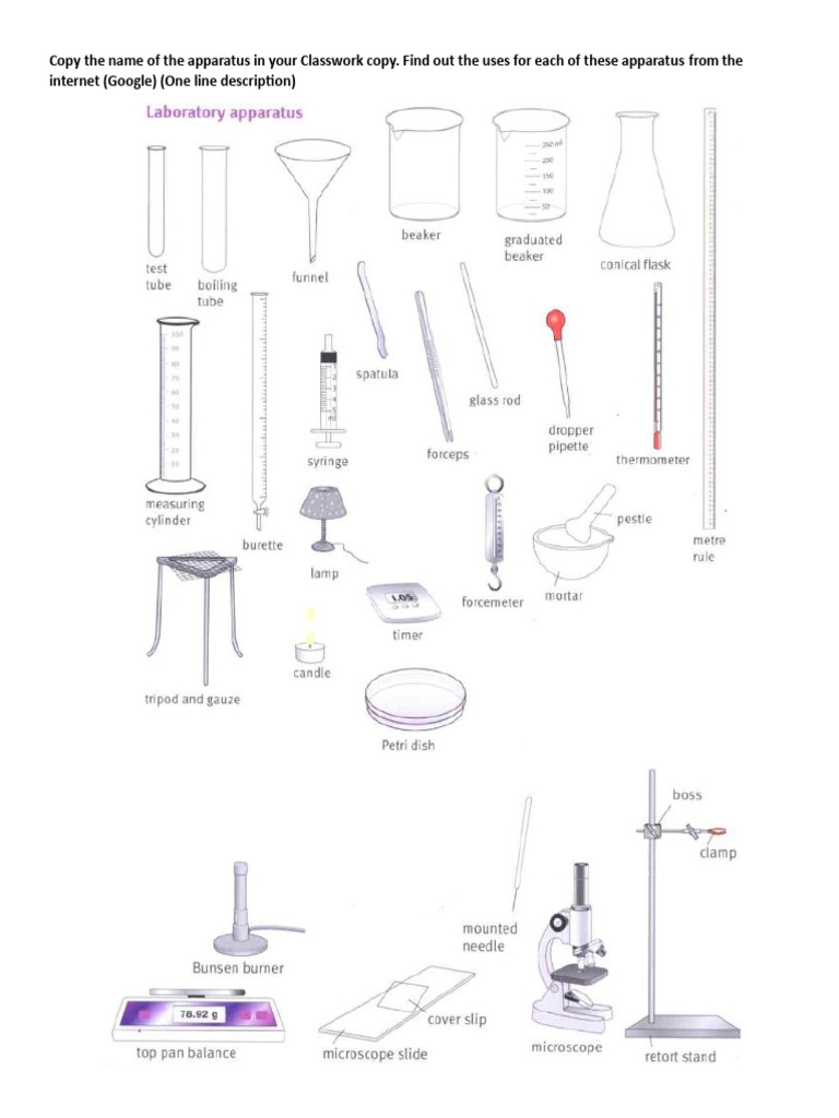 6th Grade Lab Safety Guidelines | PDF