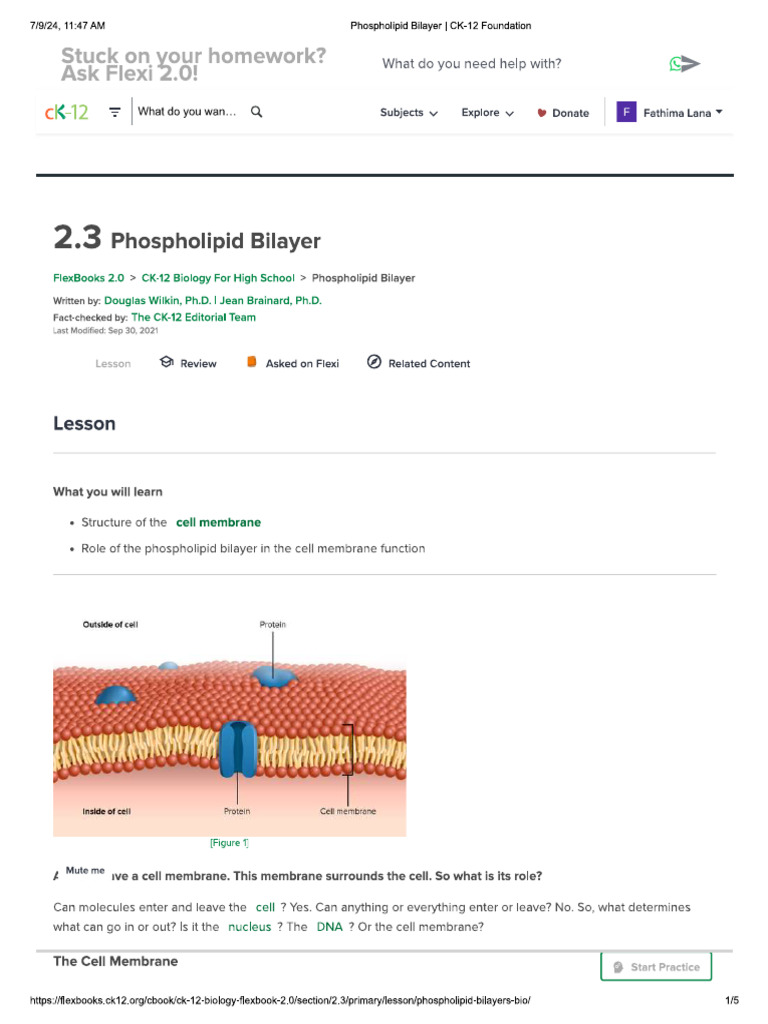 2.3 Phospholipid Bilayer | PDF