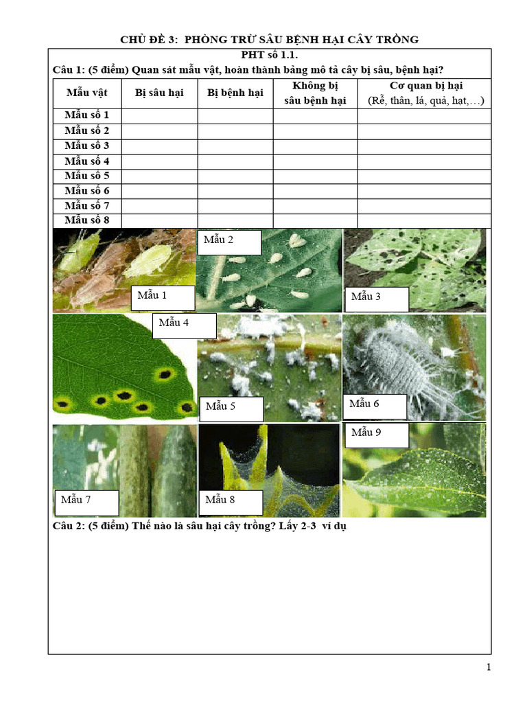 PHT.CN7.CĐ3.Phòng trừ sâu bệnh hại cây trồng | PDF