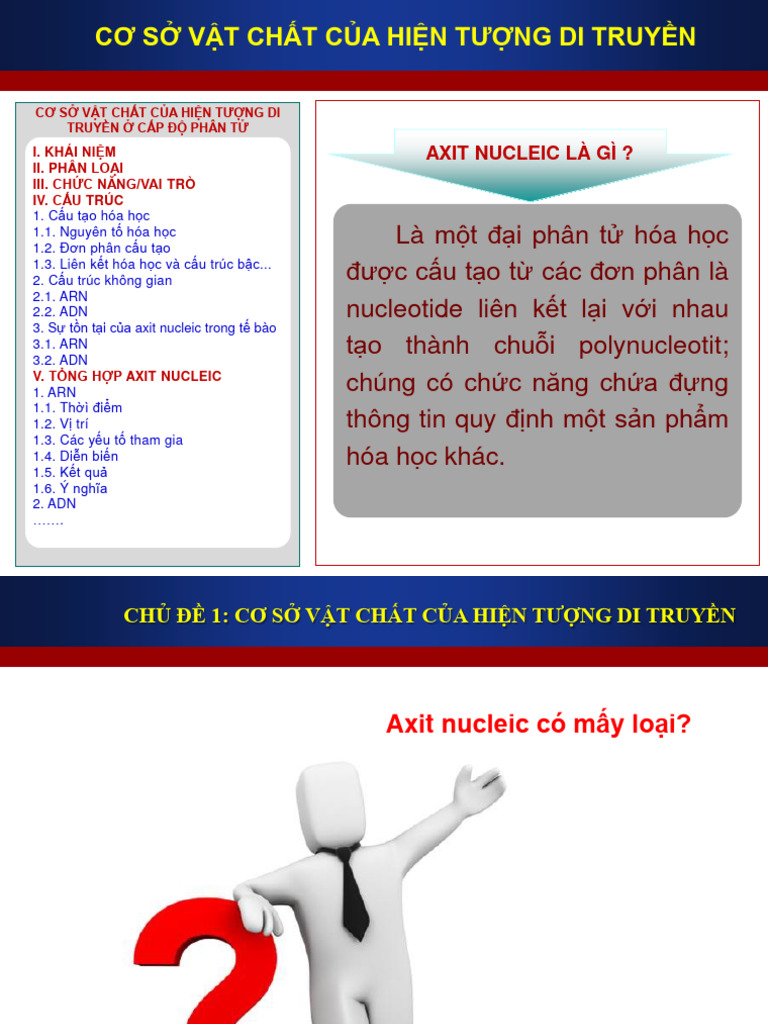 Chủ Đề 3 Bai Tap Co So Vat Chat Di Truyen Cap Do Phan Tu Va Protein - Copy | PDF