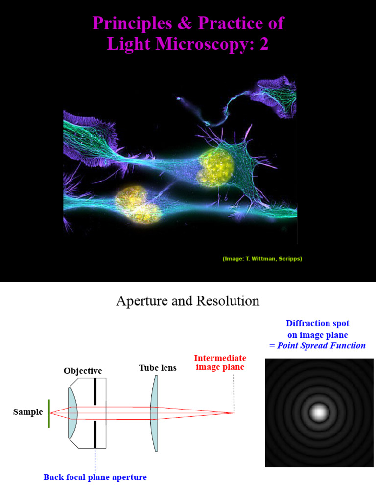 Microscopy II | PDF | Angular Resolution | Electrodynamics