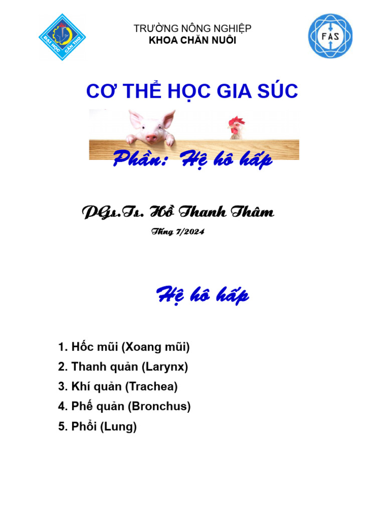 He Ho Hap - in | PDF