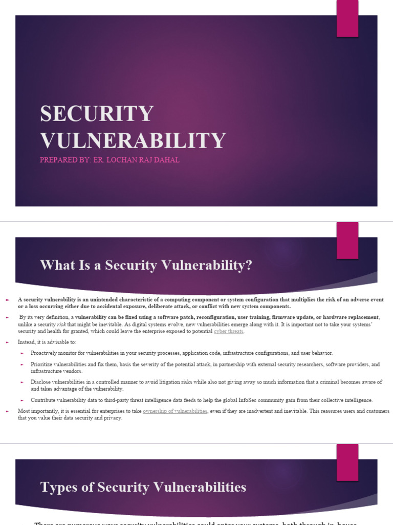 Security Vulnerability | PDF | Computer Security | Security