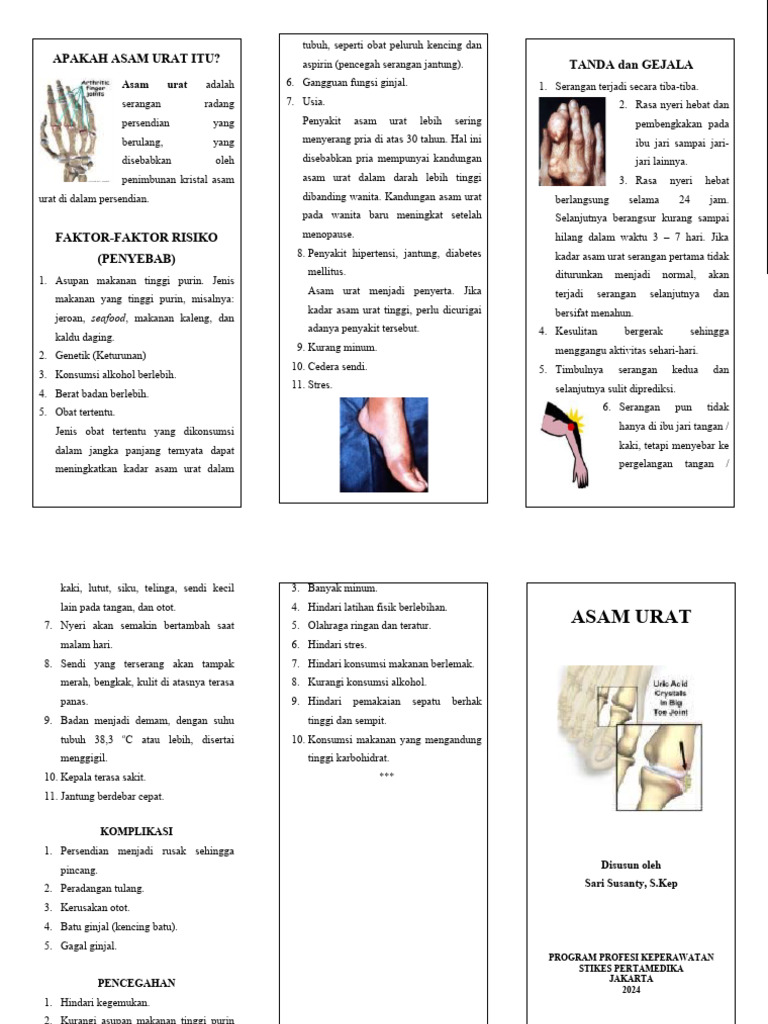 Leaflet Asam Urat | PDF