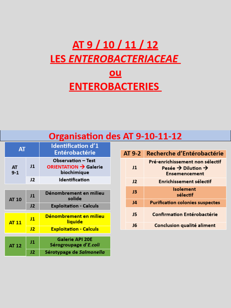 Identification et Classification des Entérobactéries | PDF ...
