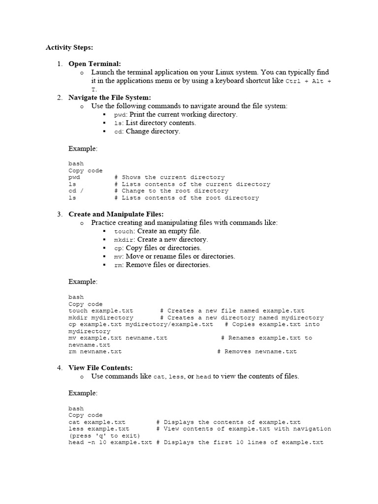 Activity Steps | Download Free PDF | Computer File | Text File